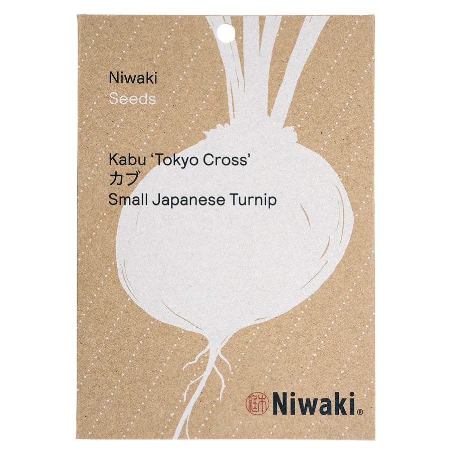 Kabu ‘Tokyo Cross’ (Small Japanese Turnip) Seeds – ALKEMI store