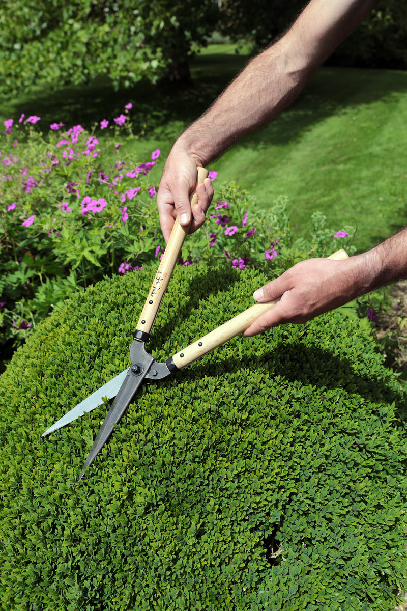 Japanese Garden Shears - Standard – ALKEMI store