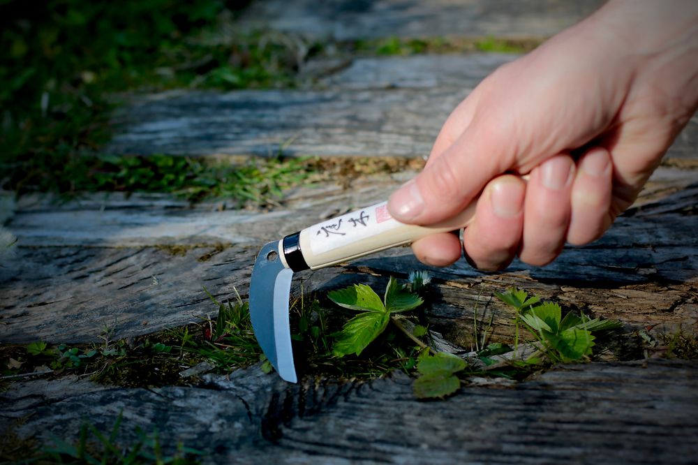 Mini Sickle with Poplar Handle – ALKEMI store